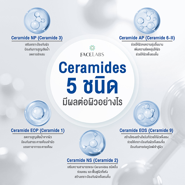 ทำความรู้จัก Ceramides 5 ชนิด ตัวช่วยคืนความแข็งแรงในครีมฟื้นฟูผิว ...